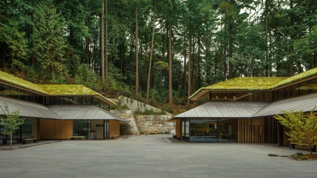 Symphony in Green: the Plants of the Portland Japanese Garden - Hardy ...